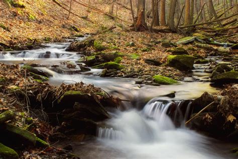 Image libre eau ruisseau forêt moss rivière cascade bois