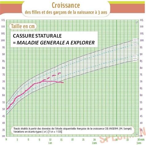 Courbes de croissance et santé bébésanté fr