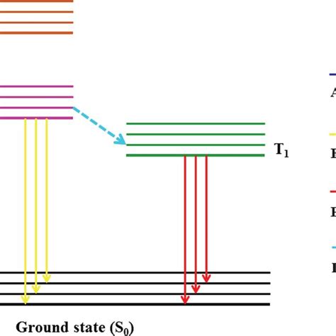 A Schematic Representation Showing Proposed Mechanistic Pathway For