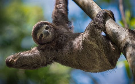 Quand commencer à préparer son voyage au Costa Rica Terra Caribea