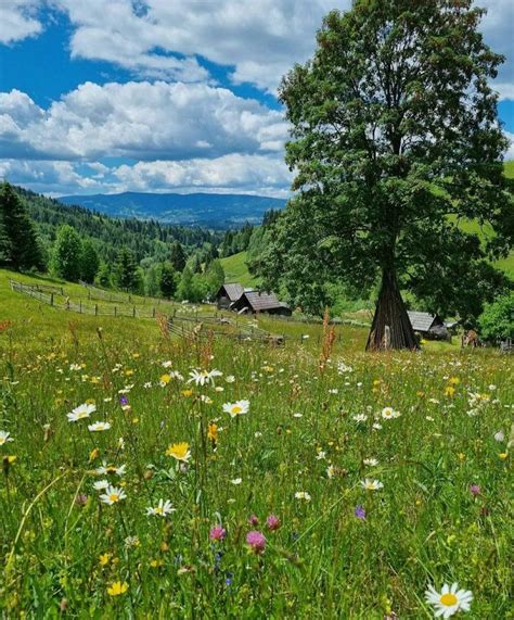Pin By Roro Kalcev On Romania Landmarks Natural Landmarks Travel