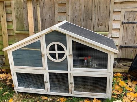 Wooden Outdoor Guinea Pig Hutch Pets At Home Foxglove Hutch In