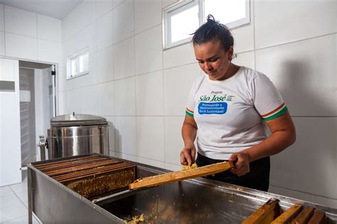 SDA realiza seminário final de divulgação do edital Mulheres Rurais