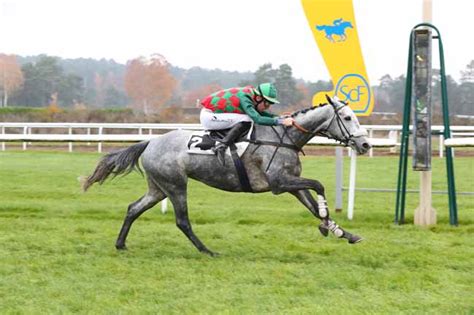 La photo de l arrivée du PRIX DES LIEVRES course PMU du Mardi 6