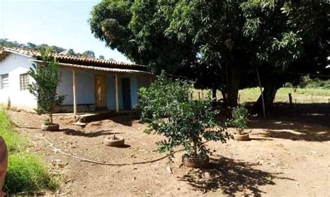 Chácara de 23 000m² 38 litros à 1 500m de Taquaral de Goiás GO