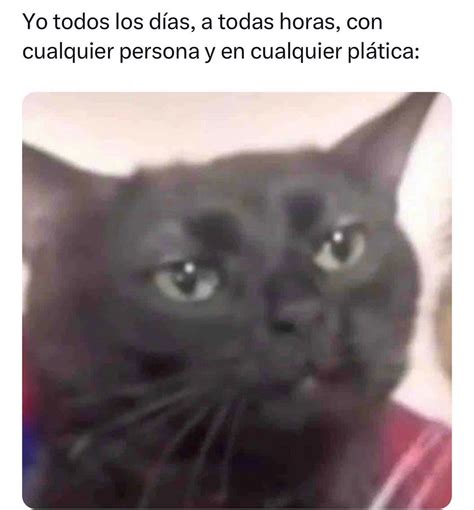 Yo todos los días a todas horas con cualquier persona y en cualquier