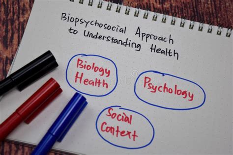 Enfoque Biopsicosocial Para Entender La Salud Imagen De Archivo