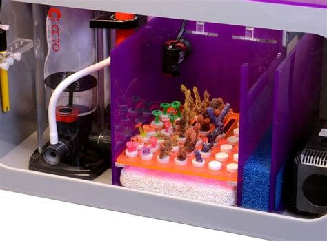 The Frag Fuge Reef Sump Is A Proper Coral Nursery Reef Builders The