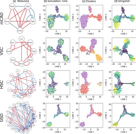 benchmarking algorithms for gene regulatory network inference from single cell transcriptomic