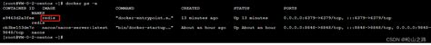 docker 安装redis docker安装redis csdn博客