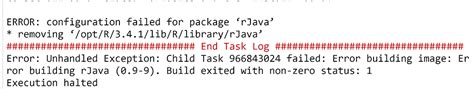 RJava Error When Deploying To ShinyApp Io Shinyapps Io Posit Community