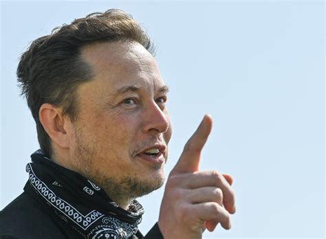 Perché Elon Musk è diventato Elona su Twitter il botta e risposta
