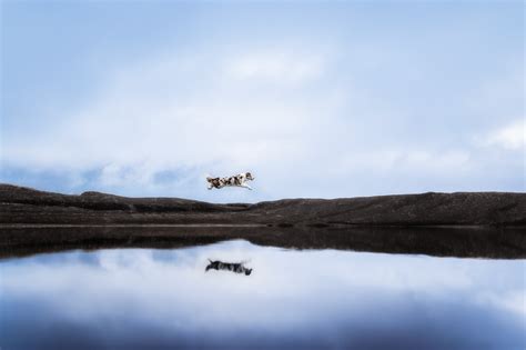 Fotos Estas Son Las Incre Bles Im Genes Ganadoras De Los Premios De