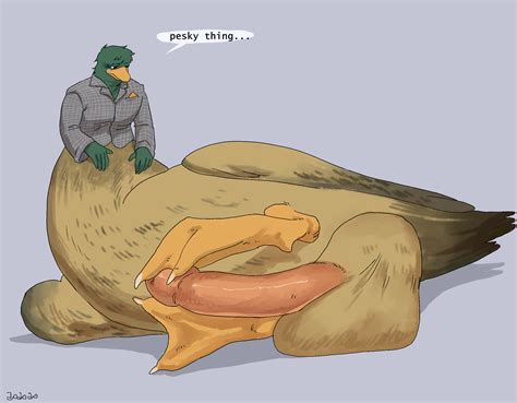 Rule 34 Anatid Anseriform Aoaoao Avian Avian Feet Avian Taur Balls Beak Bird Bird Taur Claws