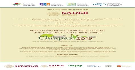Reuniones Nacionales de Investigación e Innovación Presentación
