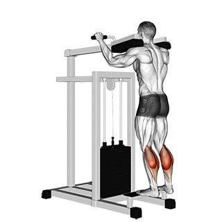 Standing Vs Seated Calf Raises Which Is Best Inspire Us