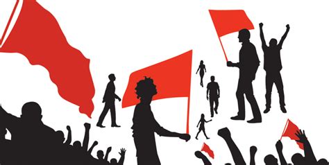 Movimientos sociales proyectos y acción política La Pluma