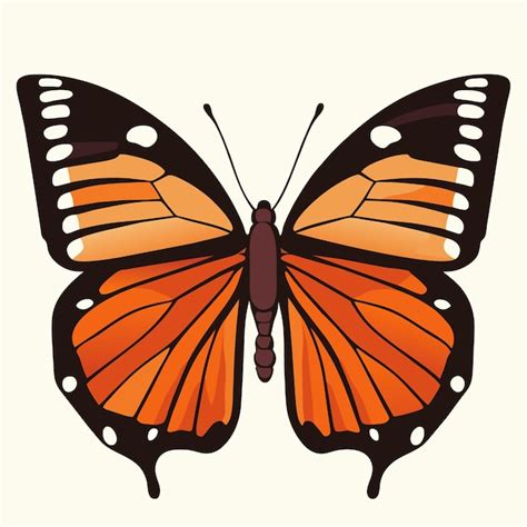Mariposa monarca símbolo de metamorfosis Vector Premium