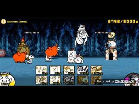 Cats YouTube