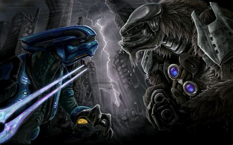 Halo Arbiter Wallpaper