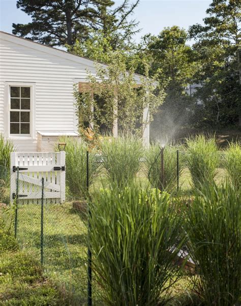 Tall Clumps Of Grasses Hide A Multitude Of Sins In Architect Sheila