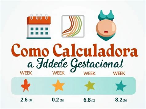 Calculadora De Idade Gestacional Calculadoraf Cil