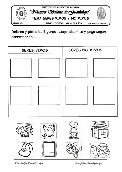 Clasifica Estos Dibujos En Seres Vivos Y Seres Inertes Clasificacion
