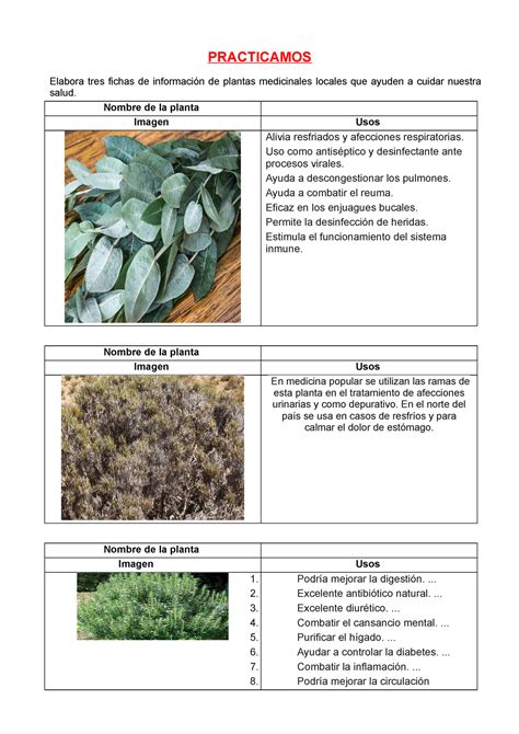 LAS Plantas Medicinales PRACTICAMOS Elabora Tres Fichas De