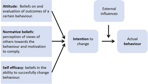 theory of planned behavior framework