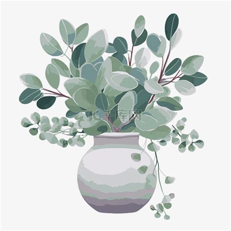 桉树绿化剪贴画桉树叶植物插在花瓶里卡通 向量素材图片免费下载 千库网