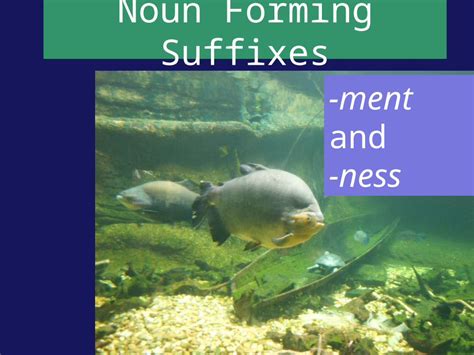 PPT Noun Forming Suffixes Ment And Ness DOKUMEN TIPS