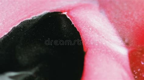 Paint Spill Ink Mix Pink Black Glitter Fluid Flow Stock Footage Video