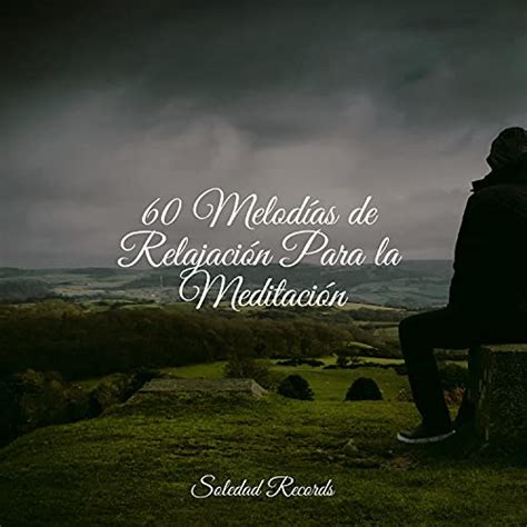 Play 60 Melodías de Relajación Para la Meditación by Música De