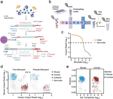 Txci Atac Seq A Massive Scale Single Cell Technique To Off