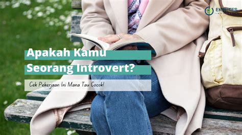 Pekerjaan Yang Cocok Untuk Orang Introvert Homecare24