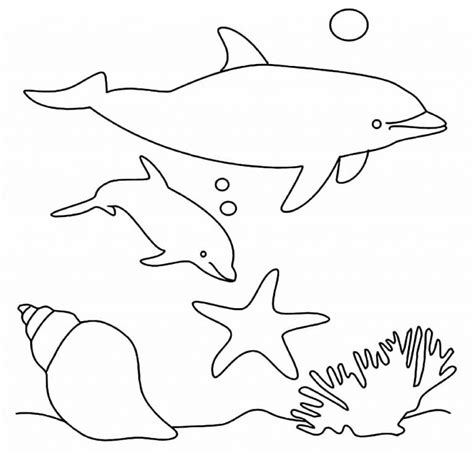 50 Desenhos De Golfinhos Para Colorir Como Fazer Em Casa