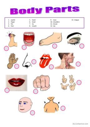 1 025 Body Parts English ESL Worksheets Pdf Doc