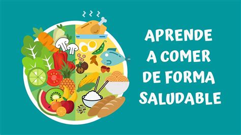 APRENDE A COMER DE FORMA SALUDABLE PLATO HARVARD YouTube
