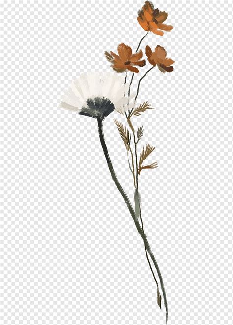 Bouquet Of Wildflowers Png Best Flower Site