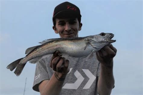 La Merluza Uno De Los Peces De Aguas Profundas Por Descubrir