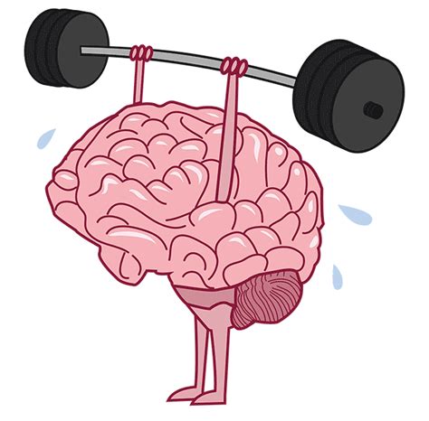Exercise And The Brain How Fitness Impacts Learning