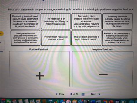 Solved Place Each Statement In The Proper Category To Chegg