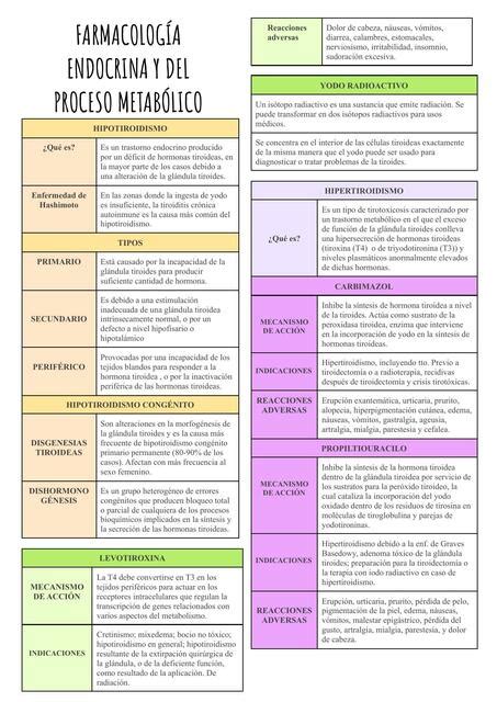 Farmacolog A Endocrina Y Del Proceso Metab Lico Linda Milena Le N