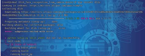 Fixing Issues With Python Setup Py Bdist Wheel Execution