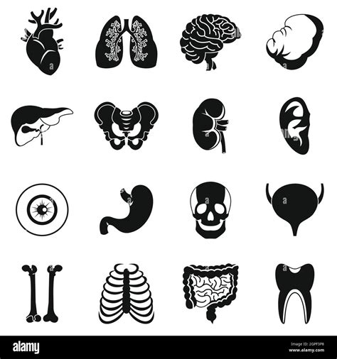 Human Organs Icons Set Simple Style Stock Vector Image Art Alamy