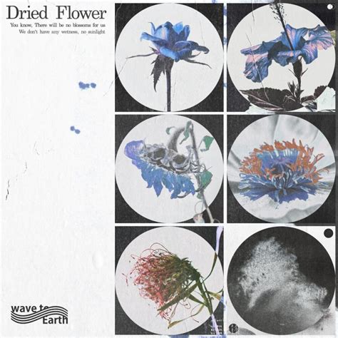 Wave To Earth Dried Flower Digital Single 2022 Maniadb
