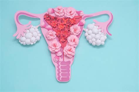 Polycystic Ovary Syndrome PCOS A Comprehensive Guide EVEXIAS