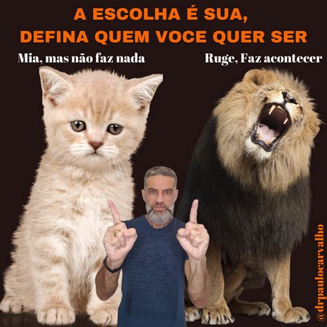 Não adianta a gente ficar falando miando todo dia mas não tomar