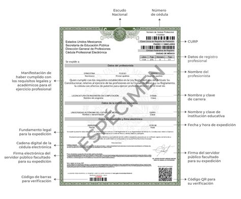 Tramitar cédula profesional 2024 Trámites México