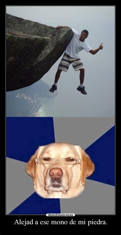 Perro Racista Meme